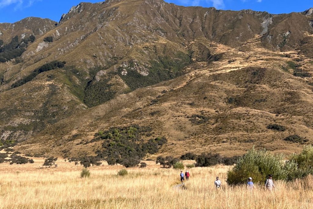 Moke Lake Loop Hike - Alpine Luxury Tours